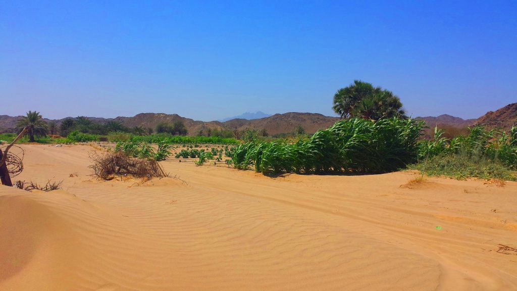 La batalla de Badr, un hito en la Historia del Islam